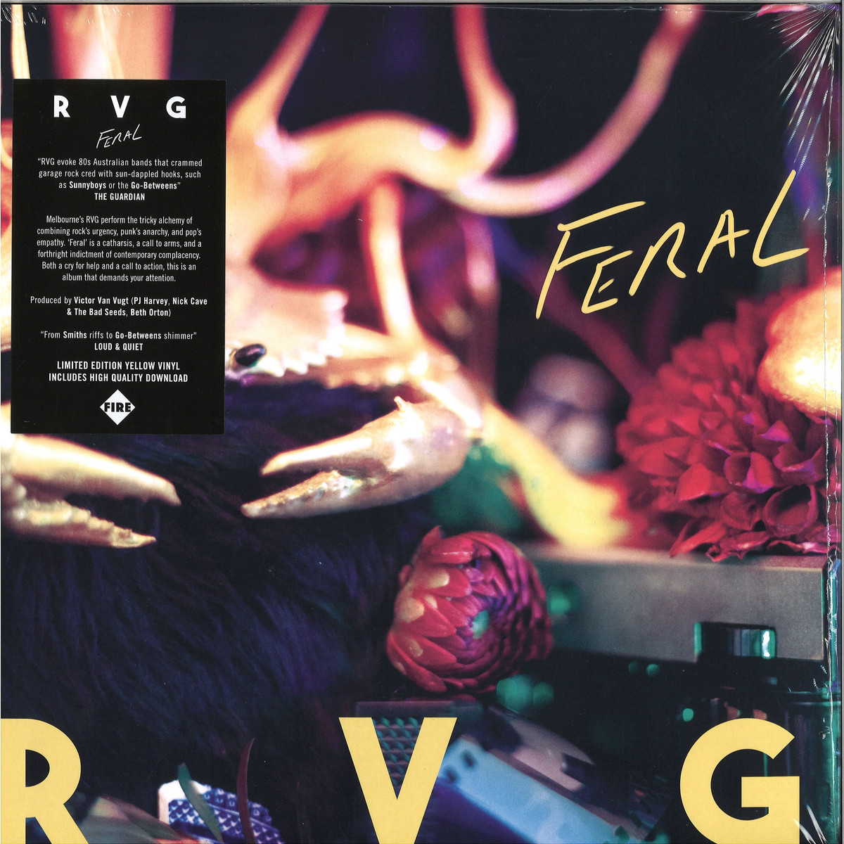 RVG - Feral / Fire Records FIRELPO595- Vinyl