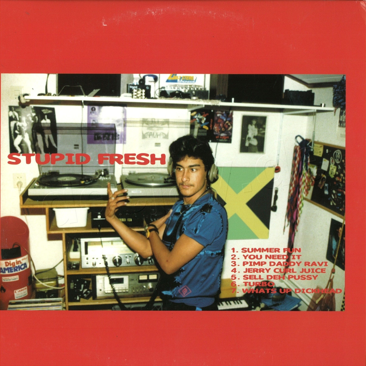 Armand Van Helden - Stupid Fresh 1 - 2x12" / STUFR01 - Vinyl