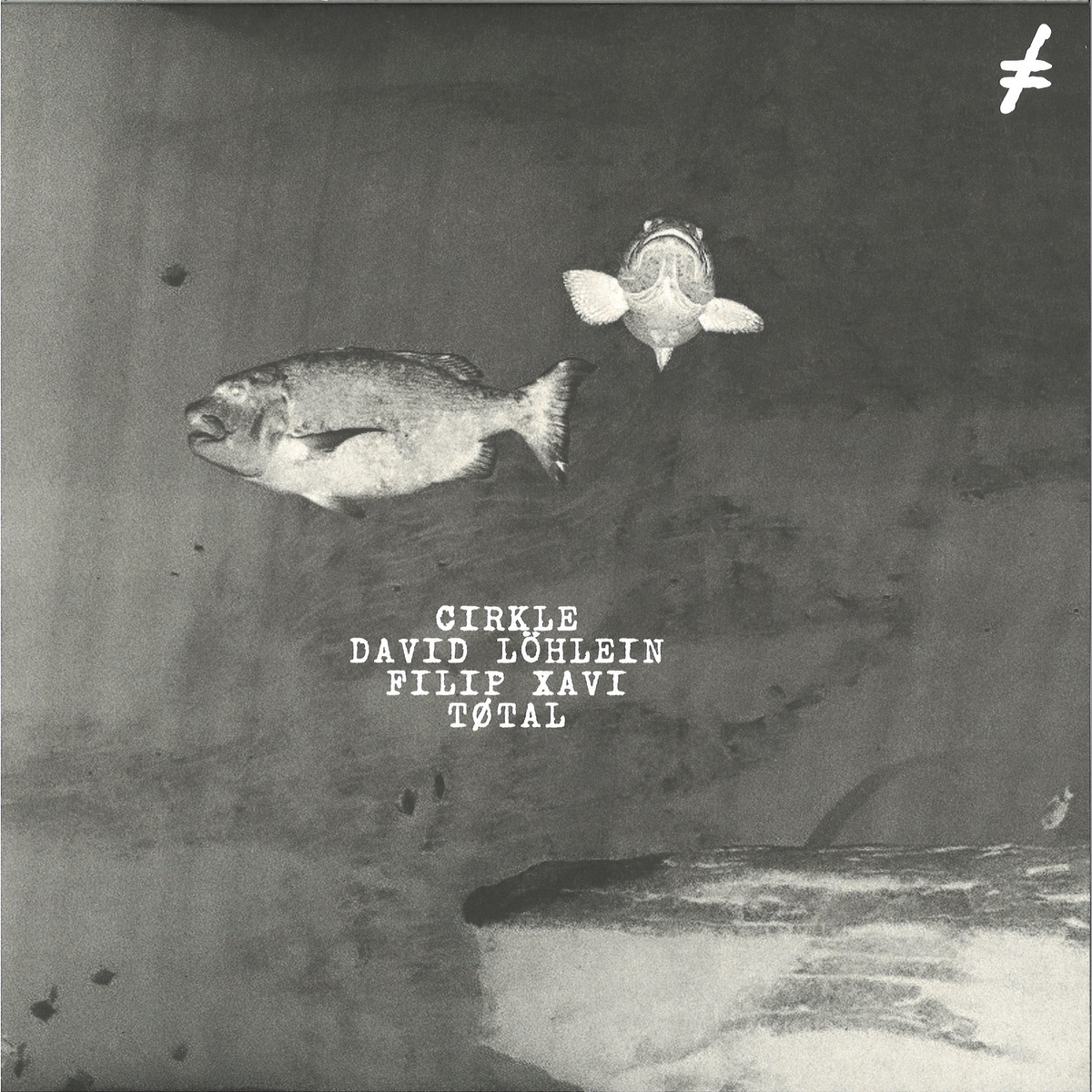 Various - Schimmer 001 / Schimmer Records SCHIMMER001- Vinyl