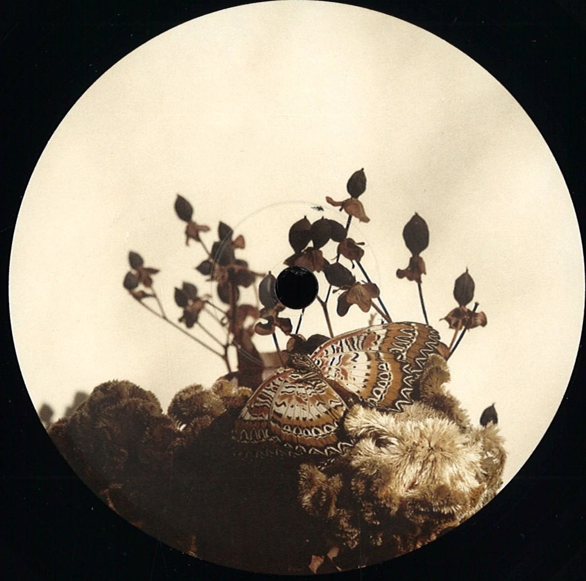 Ben Buitendijk - Transcended Being Ep / Oblique Music OBQ004RP- Vinyl